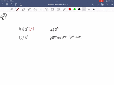 ⏩SOLVED:Theca layer is organized into theca interna and externa in ...