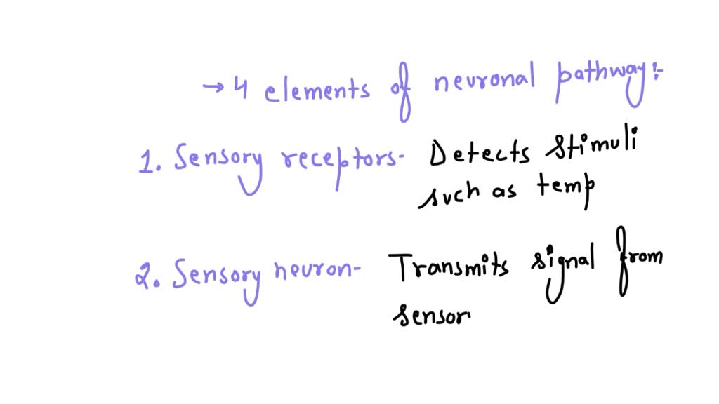Describe what is meant by the pain-spasm-pain cycle. | Numerade