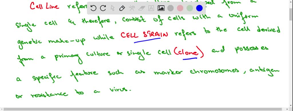 What is the difference between a cell strain, a cell line, and a clone ...