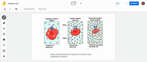 SOLVED:Distinguish among hypertonic, hypotonic, and isotonic solutions.