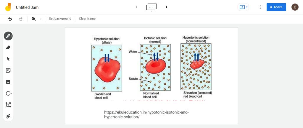 SOLVED:Distinguish between hypertonic, hypotonic, and isotonic ...