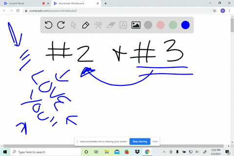 Select the correct answer, and write it on the line provided. A is a ...