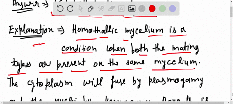 SOLVED:During sexual reproduction, a homothallic mycelium contains a ...