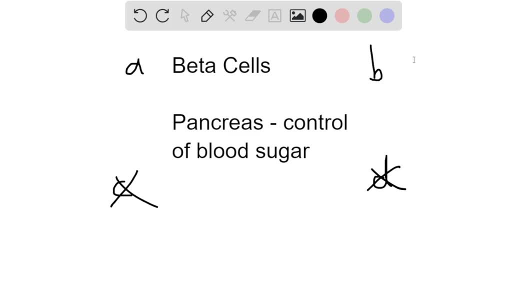 SOLVED:Alpha cells secrete glucagon, beta cells secrete insulin, delta ...