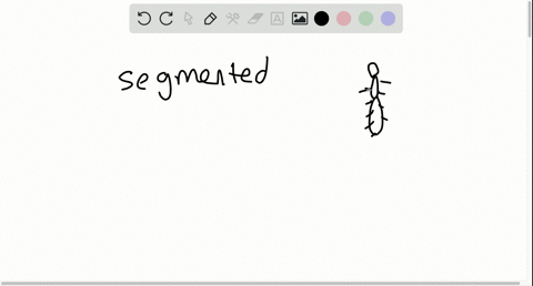 SOLVED:Segmented animals occur in multiple phyla. How might ...
