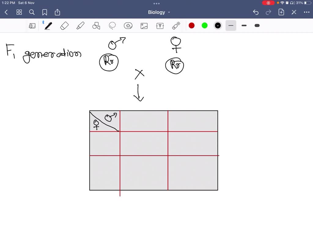 SOLVED:What ratio of offspring would result from a cross between a ...