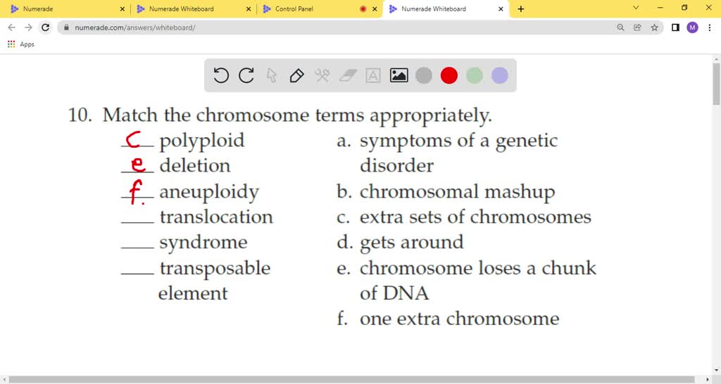 SOLVED:Match the chromosome terms appropriately. polyploid a. symptoms ...