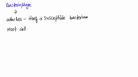 SOLVED:What is a phage library?