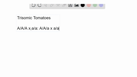 A cross is made in tomatoes between a female plant that is trisomic for ...