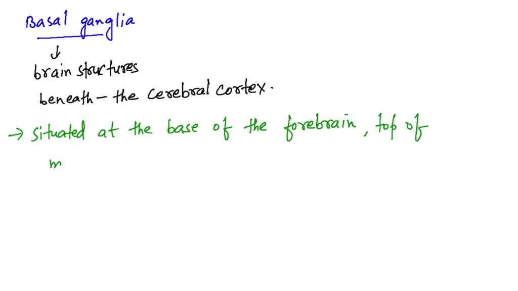SOLVED Where Are The Preganglionic Sympathetic Neurons Where Do Their solved-where-are-the-preganglionic-sympathetic-neurons-where-do-their