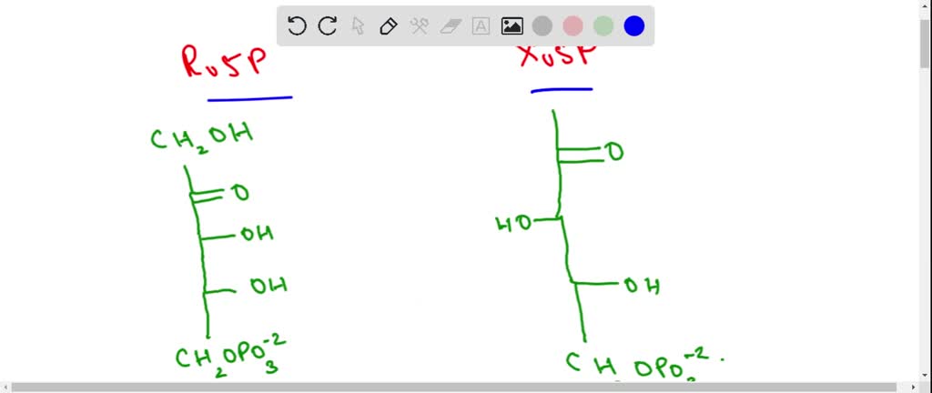 SOLVED: Draw the enediolate intermediate of the ribulose- - -phosphate ...