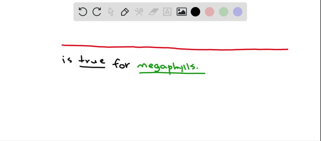 SOLVED:Megaphylls a. probably evolved only once b. are found in all the ...