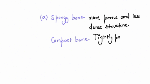 SOLVED:Compare the structure of the hip (including bones, ligaments ...