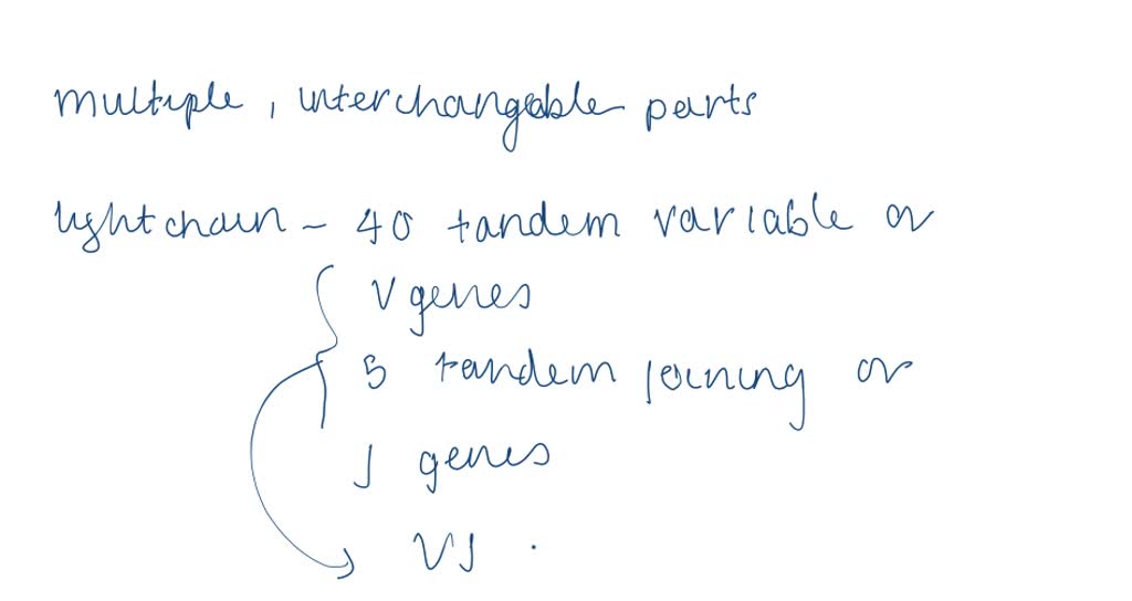 An ATM system transmits 8000 frames per second with a maximum of 10 ...