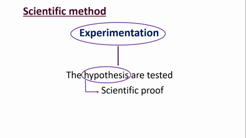 SOLVED:How did the findings of Brady's 'executive' monkey experiment ...