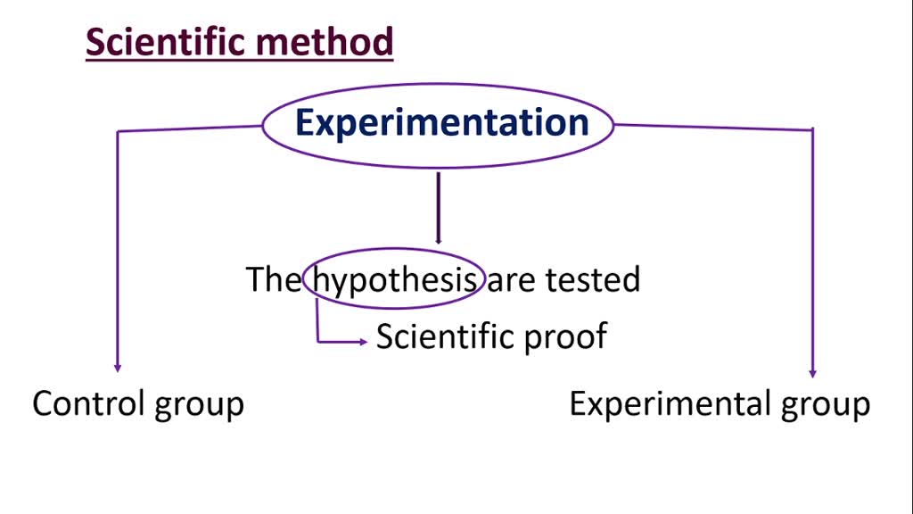 SOLVED:The results in Dr. Hayes's comparative experiments were more ...