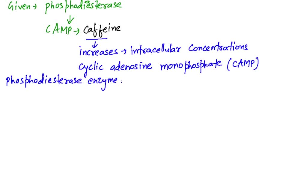 SOLVED:The phosphodiesterase that catalyzes hydrolysis of cyclic AMP is ...