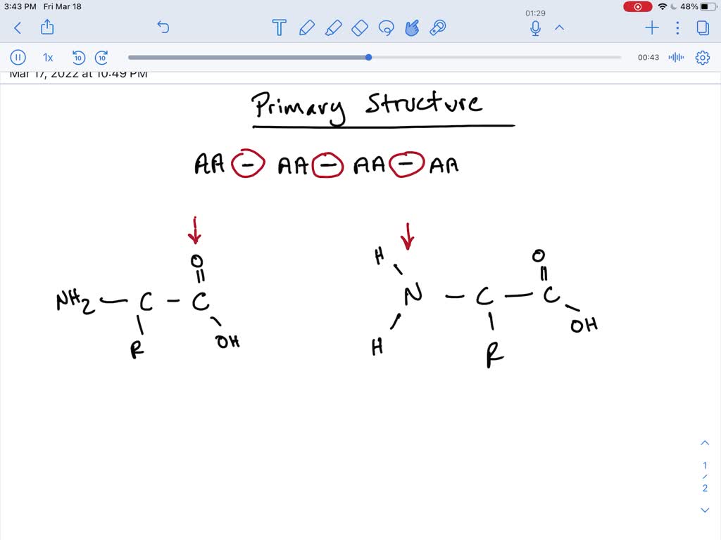 SOLVED:What type of bonding occurs in the primary structure of a protein?