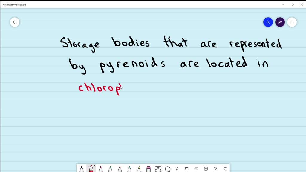 SOLVED:In most green algae, pyrenoids represent the storage bodif ...