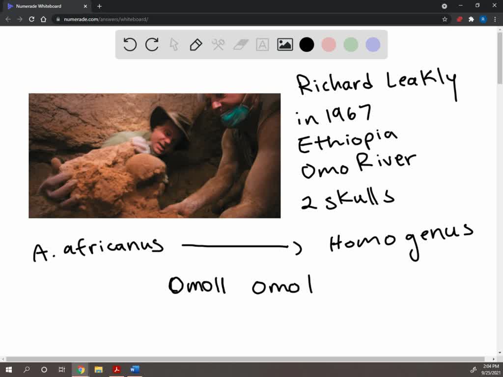 SOLVED:The significance of the skull fragments, shown on the next page ...