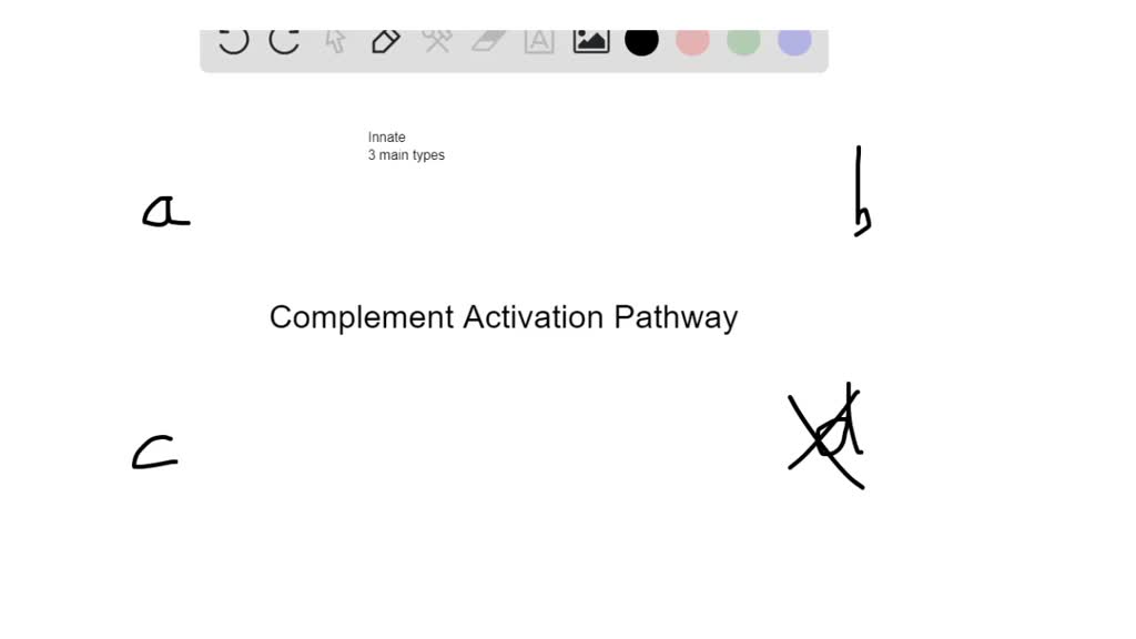 Solvedidentify The Complement Activation Pathway That Is Triggered By 9324