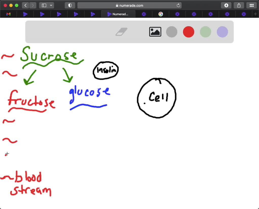 Table sugar, which is the disaccharide sucrose, contains the ...