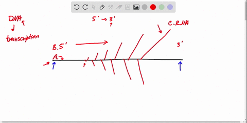 SOLVED: The following diagram represents one of the Christmas-tree-like ...