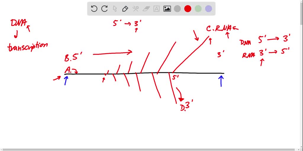 SOLVED: The following diagram represents one of the Christmas-tree-like ...
