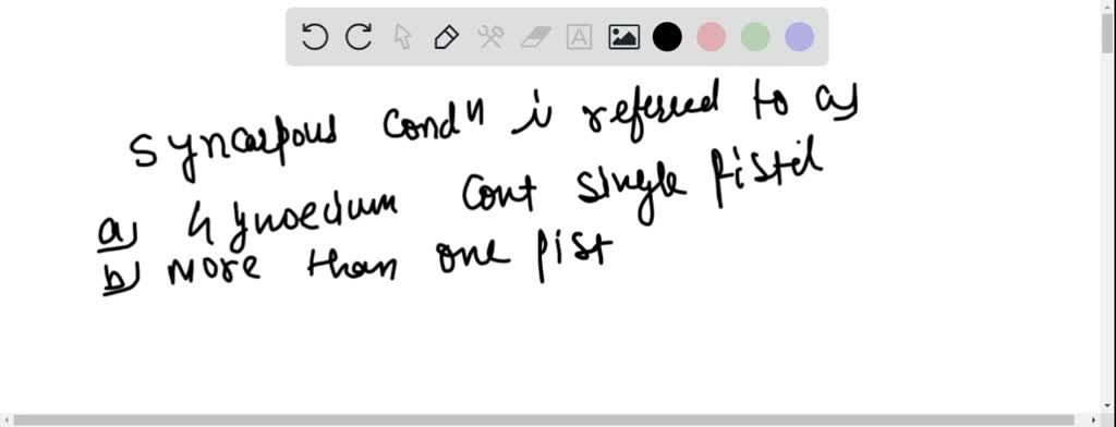 SOLVED:Syncarpous condition is referred to as (a) Gynoecium containing ...