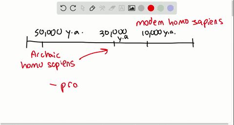 ⏩SOLVED:How do modern humans differ from other primate forms? | Numerade