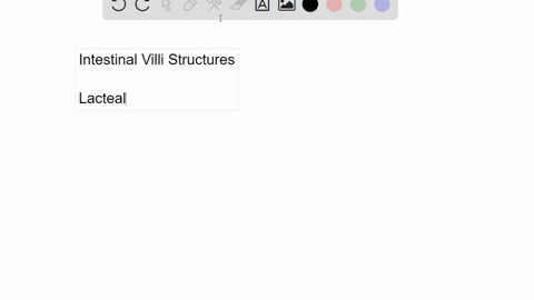 Watch this animation (http://openstaxcollege.org/l/ stomach1) that depicts the structure of the ...