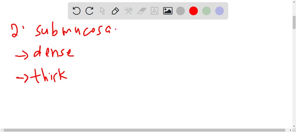SOLVED:List the four layers of the GI tract walls. What type of tissue ...