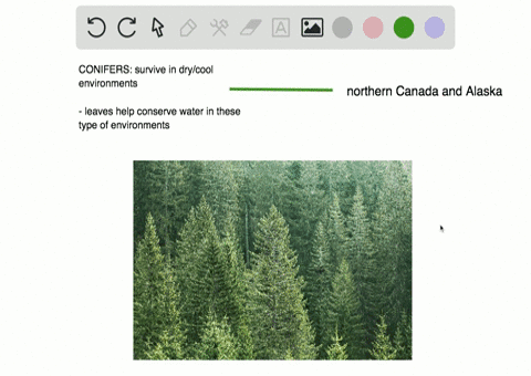 SOLVED:Why are intercropping and agroforestry agroecosystems more ...