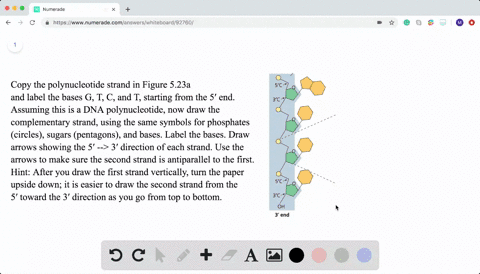 SOLVED:Construct a table that organizes the following terms, and label the columns and rows ...