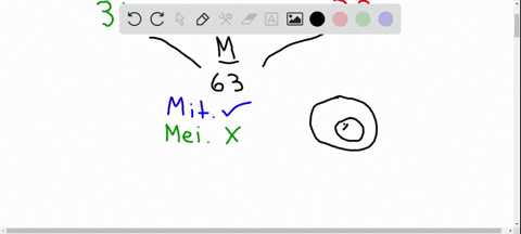 ⏩SOLVED:A mule is the offspring of a horse and a donkey. A donkey ...