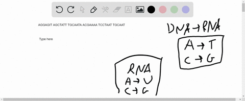 SOLVED:Write the consensus sequence for the following set of nudeotide sequences. AGGAGIT ...