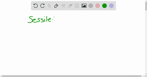 SOLVED:Sponges are sessile, meaning that they: a) reproduce asexually ...