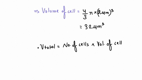 ⏩SOLVED:∙How many cells in the body? Although their sizes vary,… | Numerade