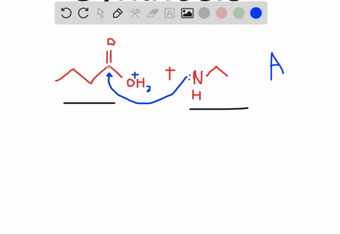 SOLVED:Draw the condensed structural formula for the amide formed in ...