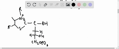 SOLVED:Acetolactate synthase transfers the acyl group of pyruvate to α ...