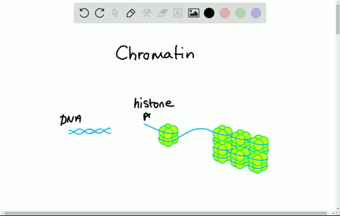 Histone Chemical Structure
