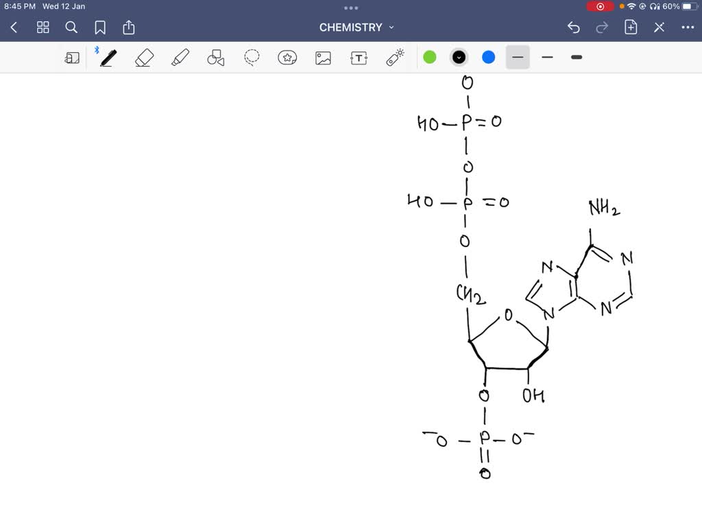 SOLVED:In the structure of acetyl coenzyme A drawn here, identify a ...