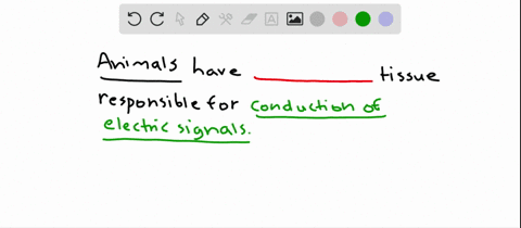 SOLVED:The tissue type common to animals that functions in the ...
