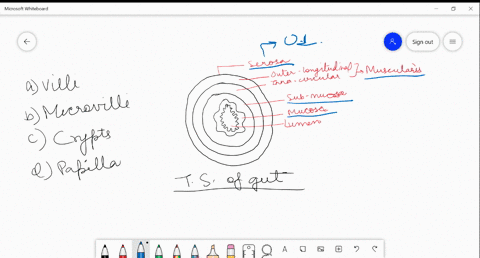 SOLVED:Mucosal layer that forms small finger like projections in ...