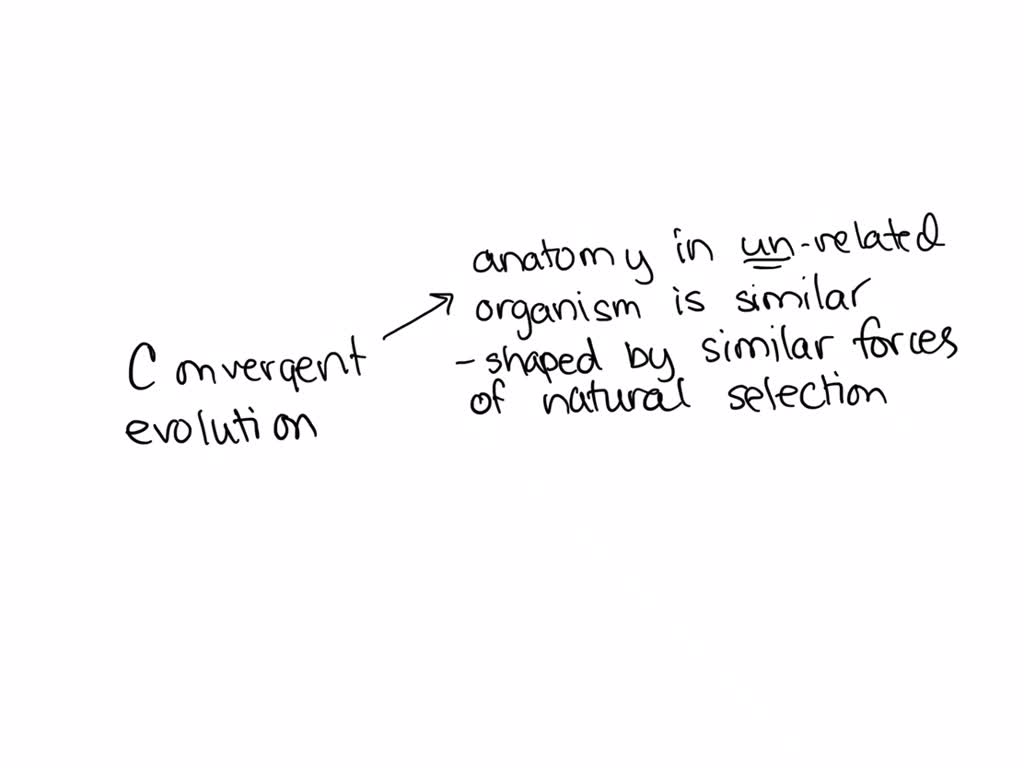 ⏩SOLVED:What is convergent evolution? Give an example. | Numerade