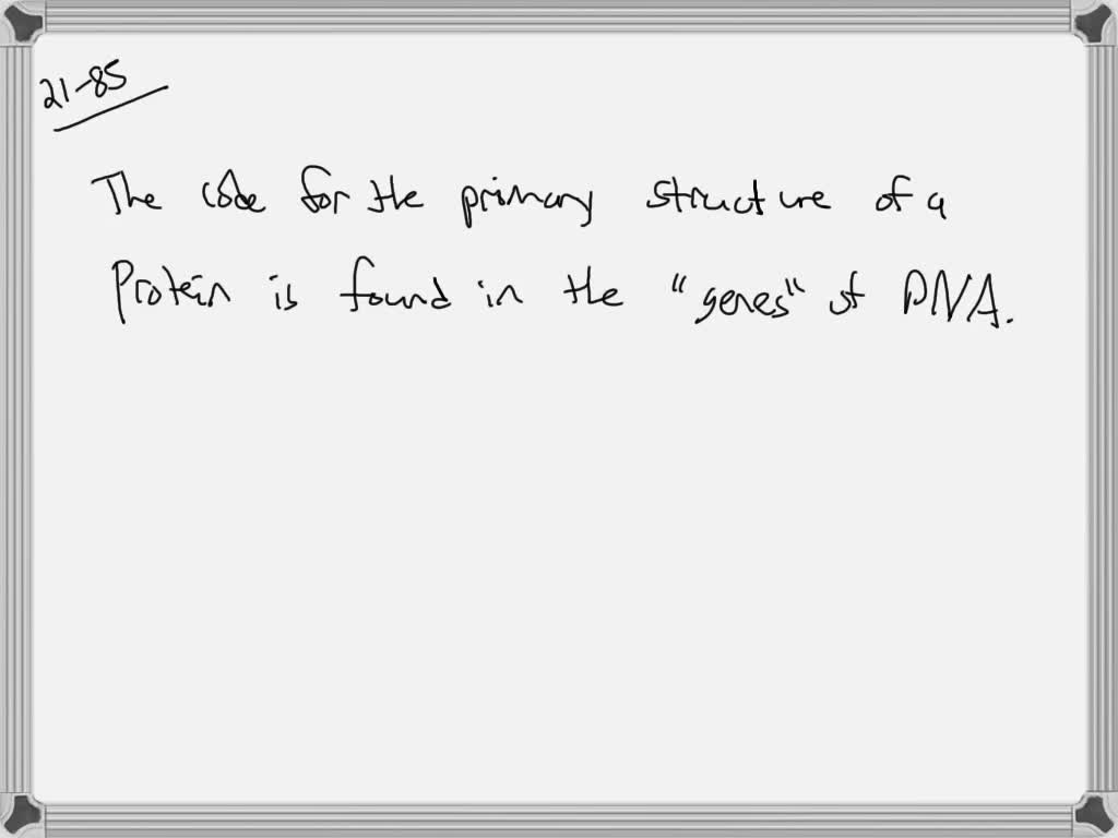 SOLVED:Nucleic acids contain a chemical code that specifies the correct ...