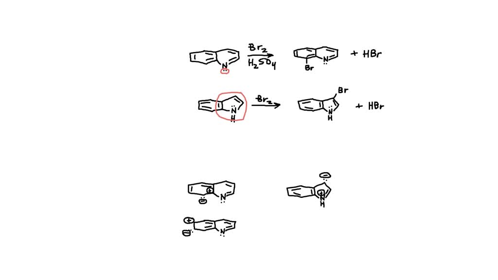 SOLVED:The bicyclic heterocycles quinoline and indole undergo ...