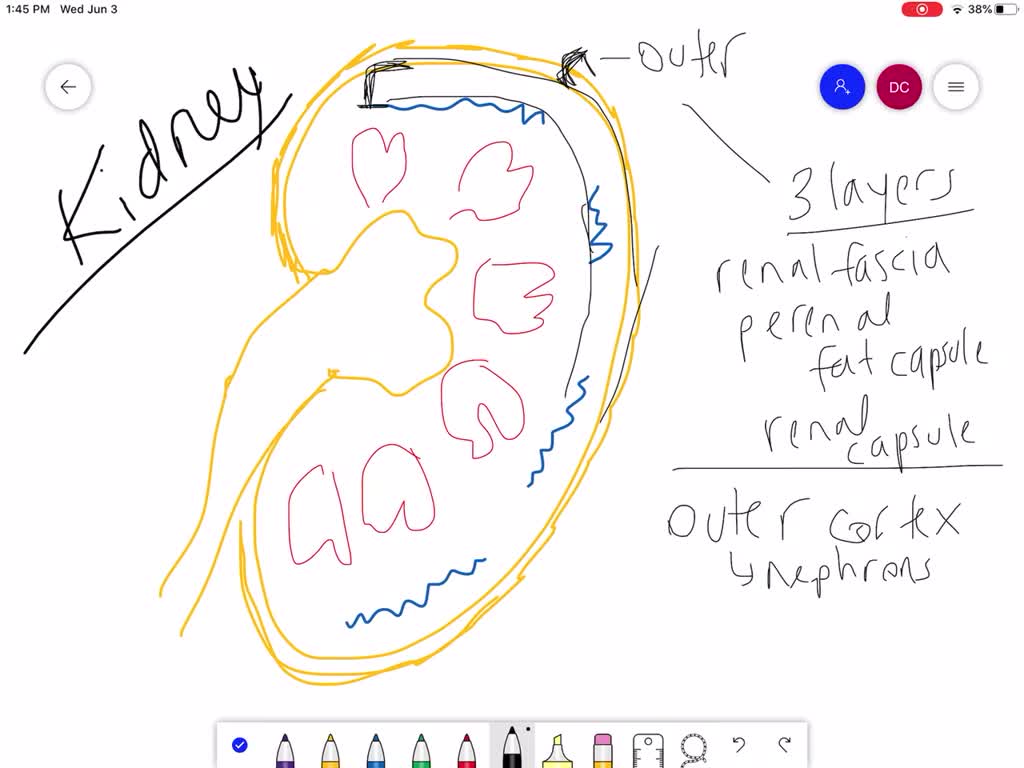 What Does The Structure Of NaCI Look Like SolvedLib