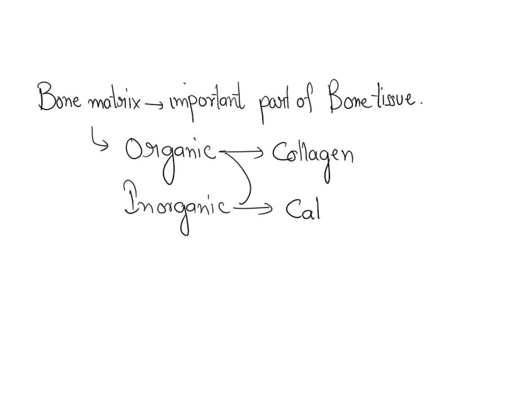 Bone matrix is rich in (A) Fluoride and calcium (B) Calcium and ...