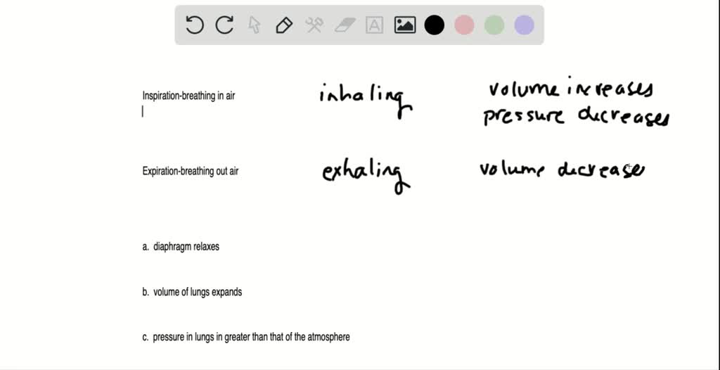 ⏩SOLVED:Inspiration during vigorous exercise involves rapid and deep ...